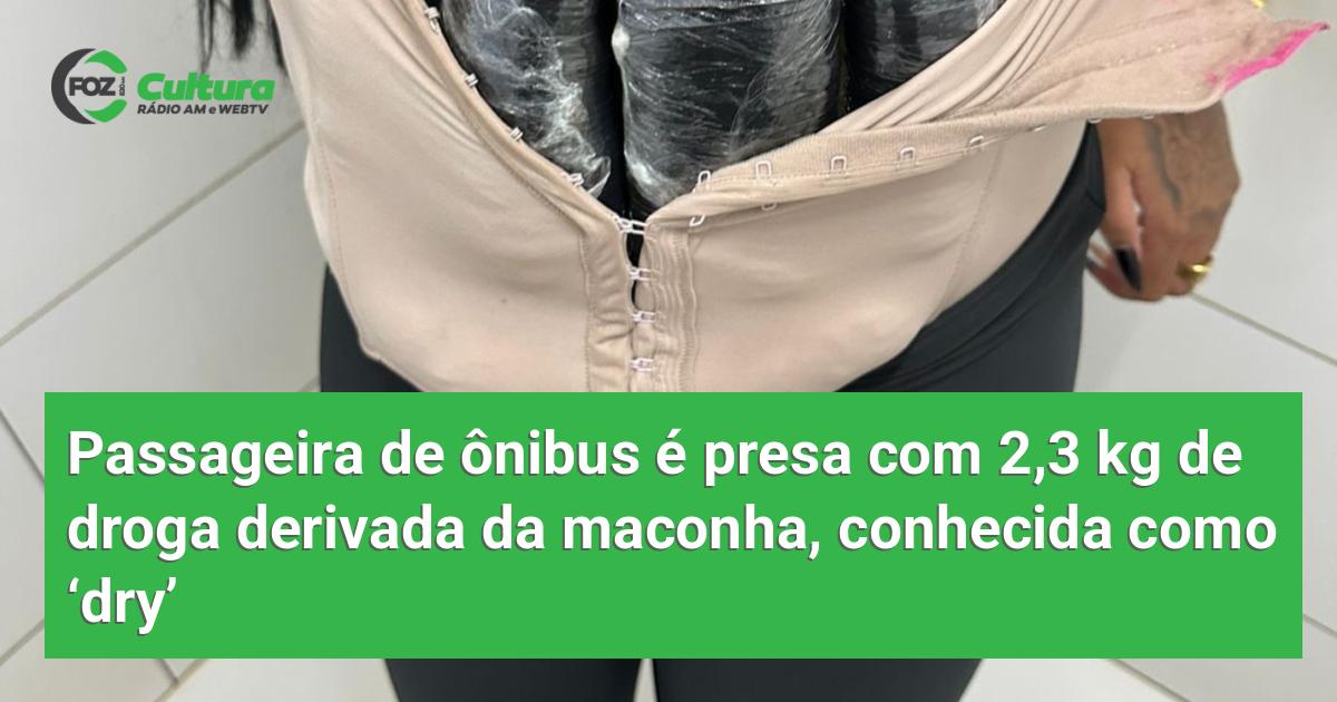 Passageira de ônibus é presa com 2,3 kg de droga derivada da maconha ...
