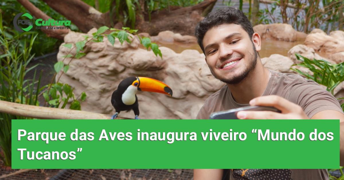 Parque das Aves inaugura viveiro “Mundo dos Tucanos” – Rádio Cultura ...